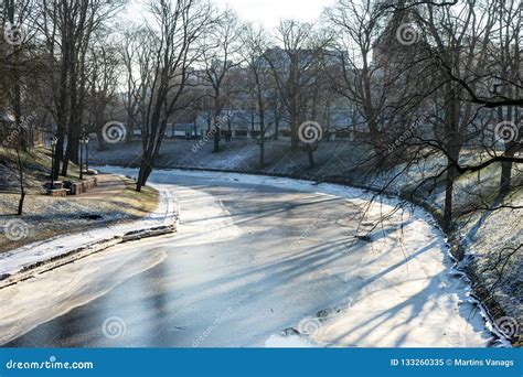 Naked Tree Branches In Late Autumn With No Leaves Stock Image Image Of Environment Outdoors
