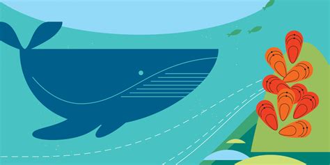 Обучение работе в Illustrator