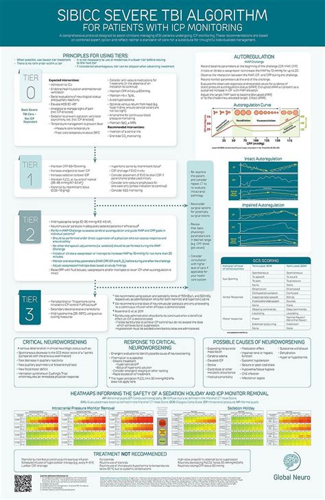 🩺 ️sibicc Severe Tbi Algorithm Poster Conference Reports And Expert