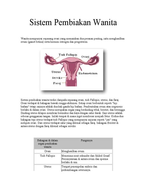 Sistem Pembiakan Wanita Pdf