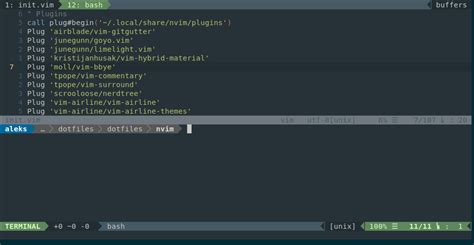 Tabline Shows Excluded Fileterminal At First Opening · Issue 1853
