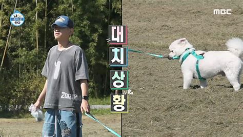 개 아빠 크러쉬와 반려견 두유의 꿀 떨어지는 한강 산책♥ 핫클립 나 혼자 산다 만나면 좋은 친구 Mbc