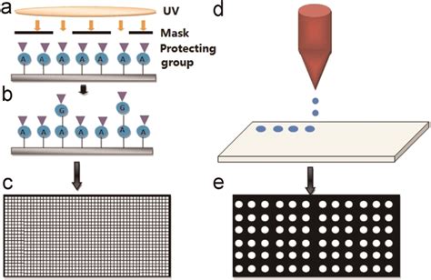Schematic Drawing Of The Comparison Of Microarray Fabrications By In Download Scientific Schematic Drawing Of The Comparison Of Microarray Fabrications By In Download Scientific