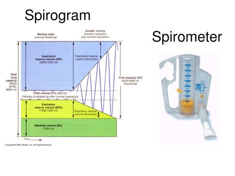Ppt Respiratory Physiology Powerpoint Presentation Free Download Id1755700 Ppt Respiratory Physiology Powerpoint Presentation Free Download Id1755700