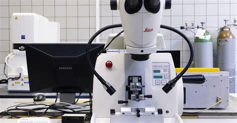 Sample Preparation A Pecs University Of Antwerp
