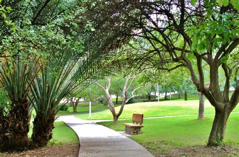 Rehabilitación De Parques Parques Alegres Iap