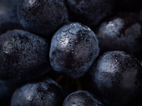 Weingut Aldinger Fellbach Erleben