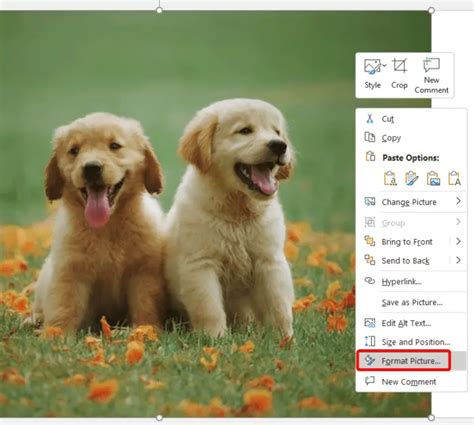 How To Blur Part Or Entire Image In PowerPoint Vegaslide