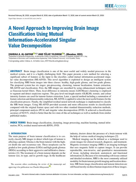 A Novel Approach To Improving Brain Image Classification Using Mutual