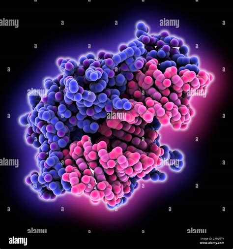 Rna Silencing Suppressor P Complexed With Rna Ribonucleic Acid
