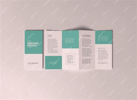 트라이 배 브로셔 이랑 프리미엄 Psd 파일