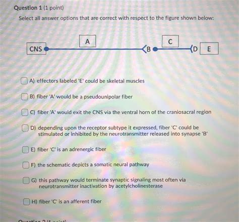 solved question 1 1 point select all answer options that