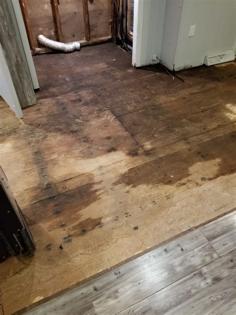 Three Signs Its Time To Replace A Subfloor Rytech