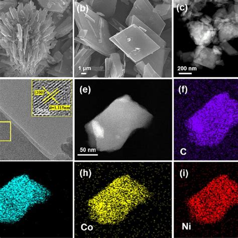 a b sem images c e tem images and d hrtem image of co 0 8