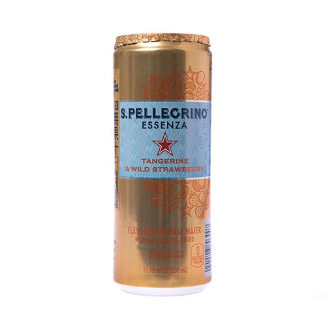 聖沛黎洛零卡香氛氣泡飲 香橙野莓330ml｜美食飲品｜hola 和樂家居