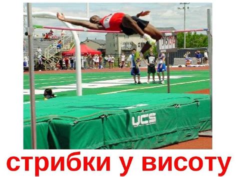 Презентація Фізична культура та спорт