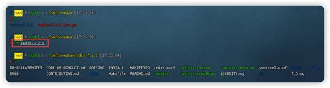 Linux环境安装redis亲测完成linux安装redis Csdn博客