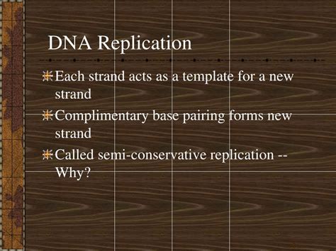 PPT DNA Replication Protein Synthesis PowerPoint Presentation ID 5188959