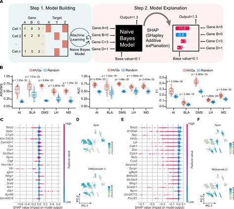 High Throughput Mapping Of Single Neuron Projection And Molecular