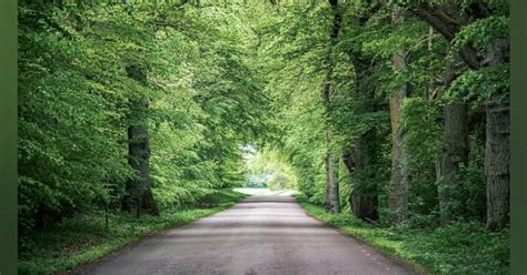 Industryweek On Linkedin Seeing Deeper Into Supply Chain Data