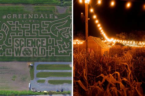 6 Corn Mazes Near Vancouver To Get Lost In This Fall