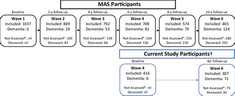 Flowchart Of The Sydney Memory And Ageing Study MAS Includes Download Scientific Diagram