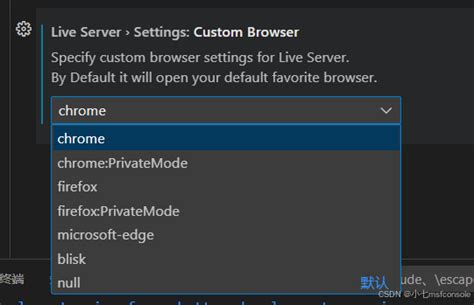 配置调试工具liveserver服务器参数liveserver软件英文界面请教设置、拓展设置的英文词汇 Csdn博客