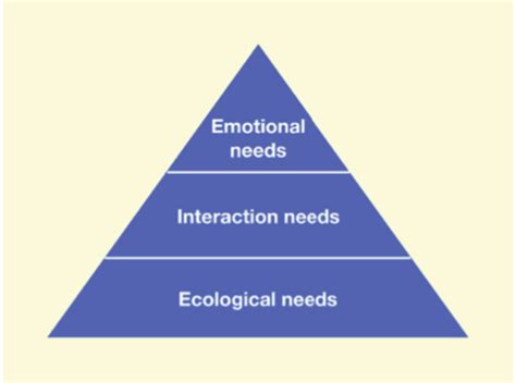 220 Intro To UX Design Flashcards Quizlet