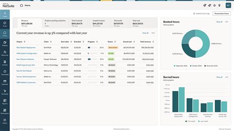 Netsuite Suiteprojects Pro Netsuite