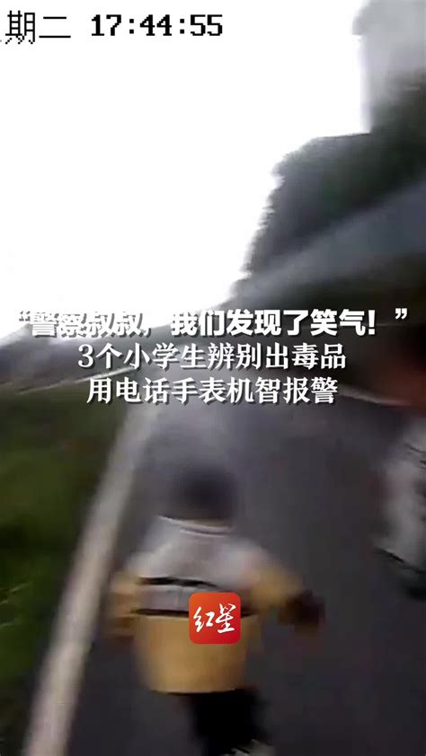 “警察叔叔，我们发现了笑气！”3个小学生用所学知识辨别出毒品，用电话手表机智报警 凤凰网视频 凤凰网