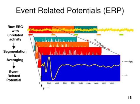 Ppt Transient Attentional Enhancement During The Attentional Blink Eeg Correlates Of The St2