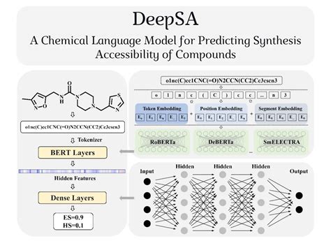 Deepsa A Cutting Edge Chemical Language Model For Compound Synthesis Accessibility Prediction