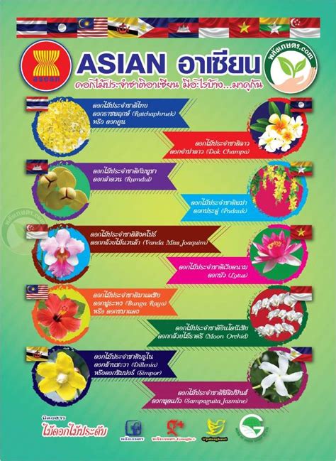 ดอกไม้ประจําชาติอาเซียน พลังเกษตร Com