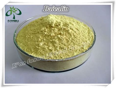 Scutellaria Baicalensis Extract Scutellaria Baicalensis Radix Scutellariae Extract Buy