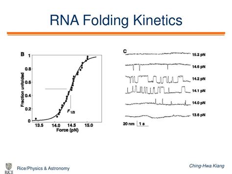 Ppt Single Molecule Manipulation Experiments Of Biological Molecules I Introduction And