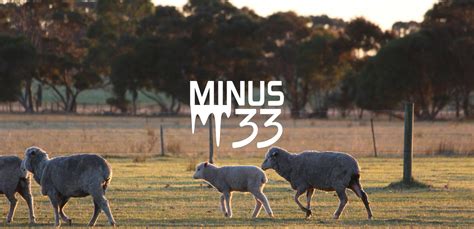 Minus33 株式会社bsr