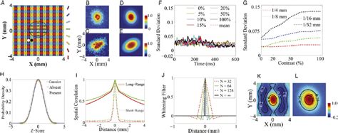 A Model Cortical Network Architecture The Size Of Model Cortex Is Download Scientific