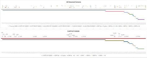 Reporting On Variants From Msa R Bioinformatics