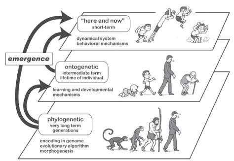shanghai lectures 2013 lecture 4 evolution cognition from scratch