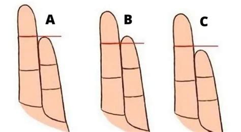 ¿de Qué Tamaño Es Tu Dedo Meñique Este Test Revelará Algo Oculto De Tu Personalidad