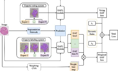 figure 1 from pathological image segmentation with noisy labels