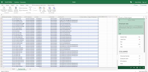 query manager™ solving your sap hcm reporting challenges