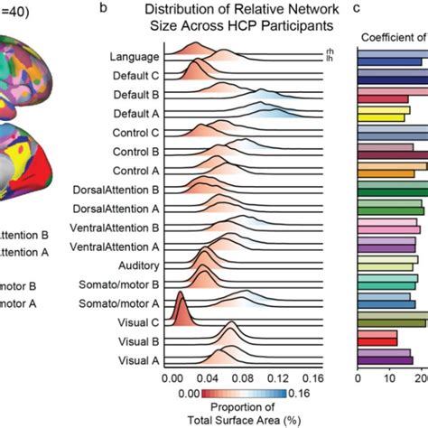 Individualized Network Size Is More Variable In Heteromodal Relative To