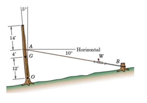 Solved Consider The Tree Trunk In The Figure Above An Chegg Com