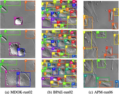 Figure 1 From Ensemble Deep Learning Object Detection Fusion For Cell Tracking Mitosis And