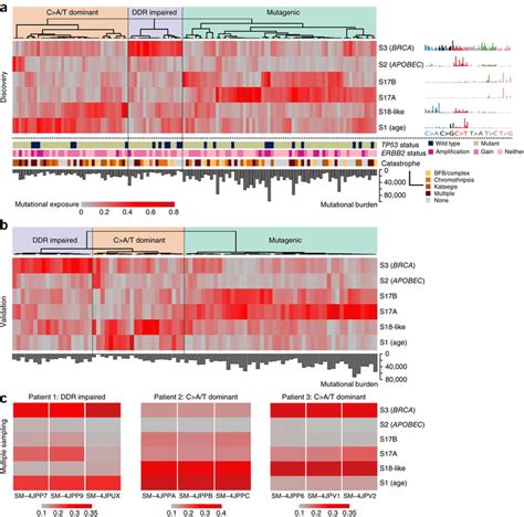 mutational signature based clustering shows differences in disease