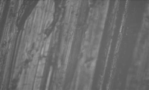 Surface Morphology Under The Load Of 400 N Rotational Speed Of 200 Download Scientific Diagram