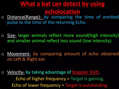 Seeing With Ears The Echolocation Pptx