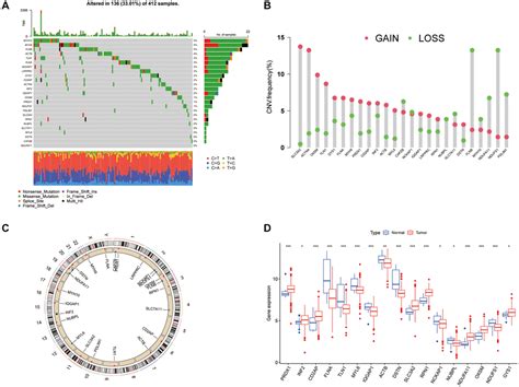 Comprehensive Analysis Of Scrna Seq And Bulk Rna Seq Reveal The Characteristics Of