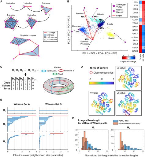 What Cannot Be Seen Correctly In 2d Visualizations Of Single Cell ‘omics Data Cell Systems
